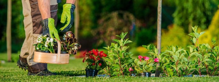 Garten- und Grundstückspflege - Flotte Feger
